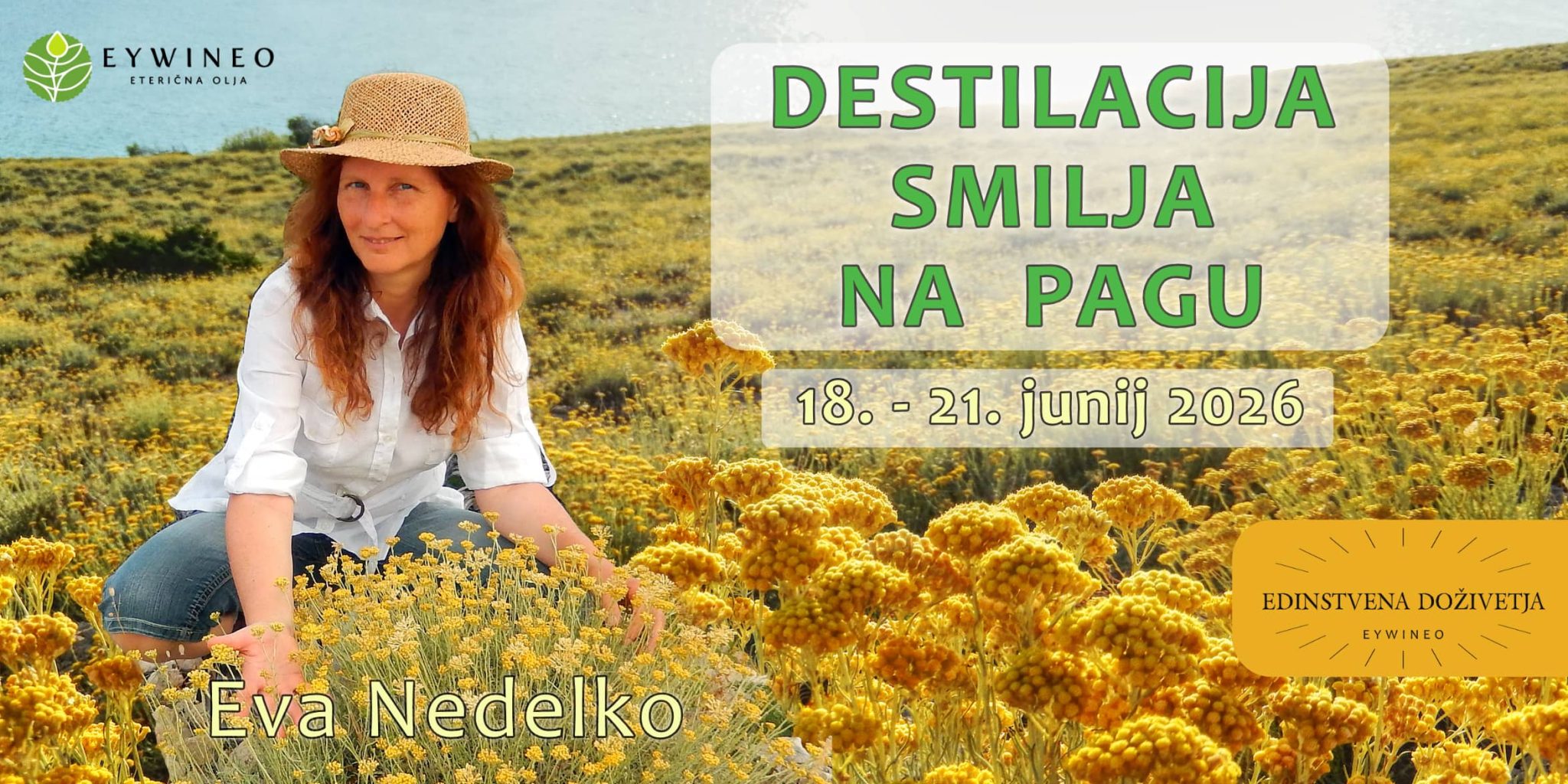 4-dnevni odklop: DESTILACIJA SMILJA NA PAGU - EYWINEO eterična olja